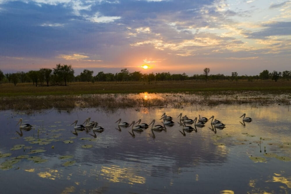 Drive North Queensland | The Matilda Way