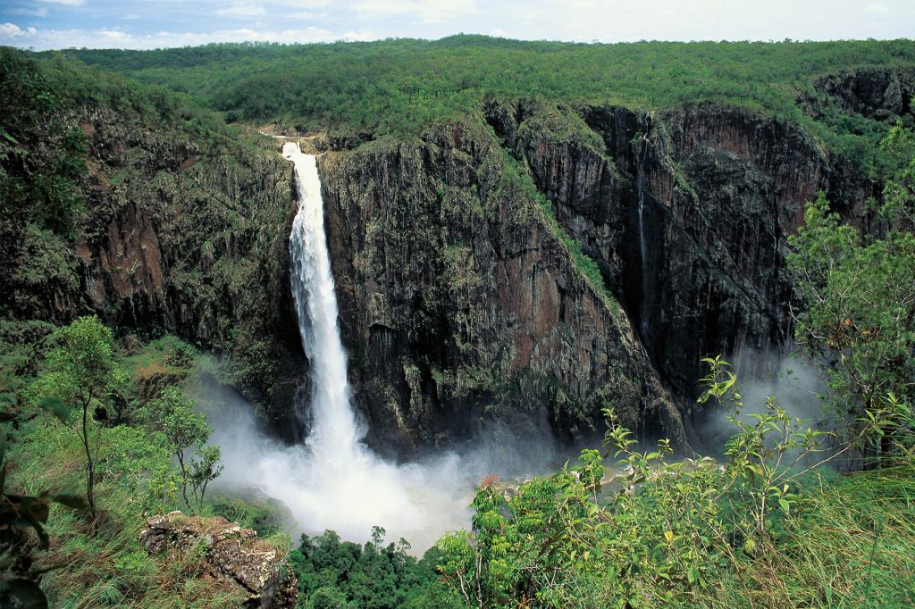 Drive North Queensland | North Queensland Wildlife Tracker