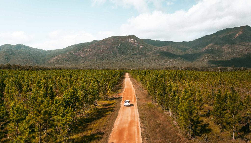 Drive North Queensland | Townsville to Cairns- Great Green Way