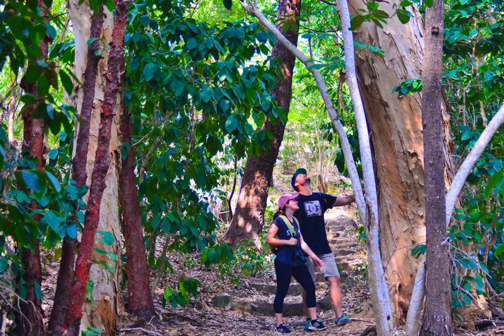 Drive North Queensland | Epic Cape York