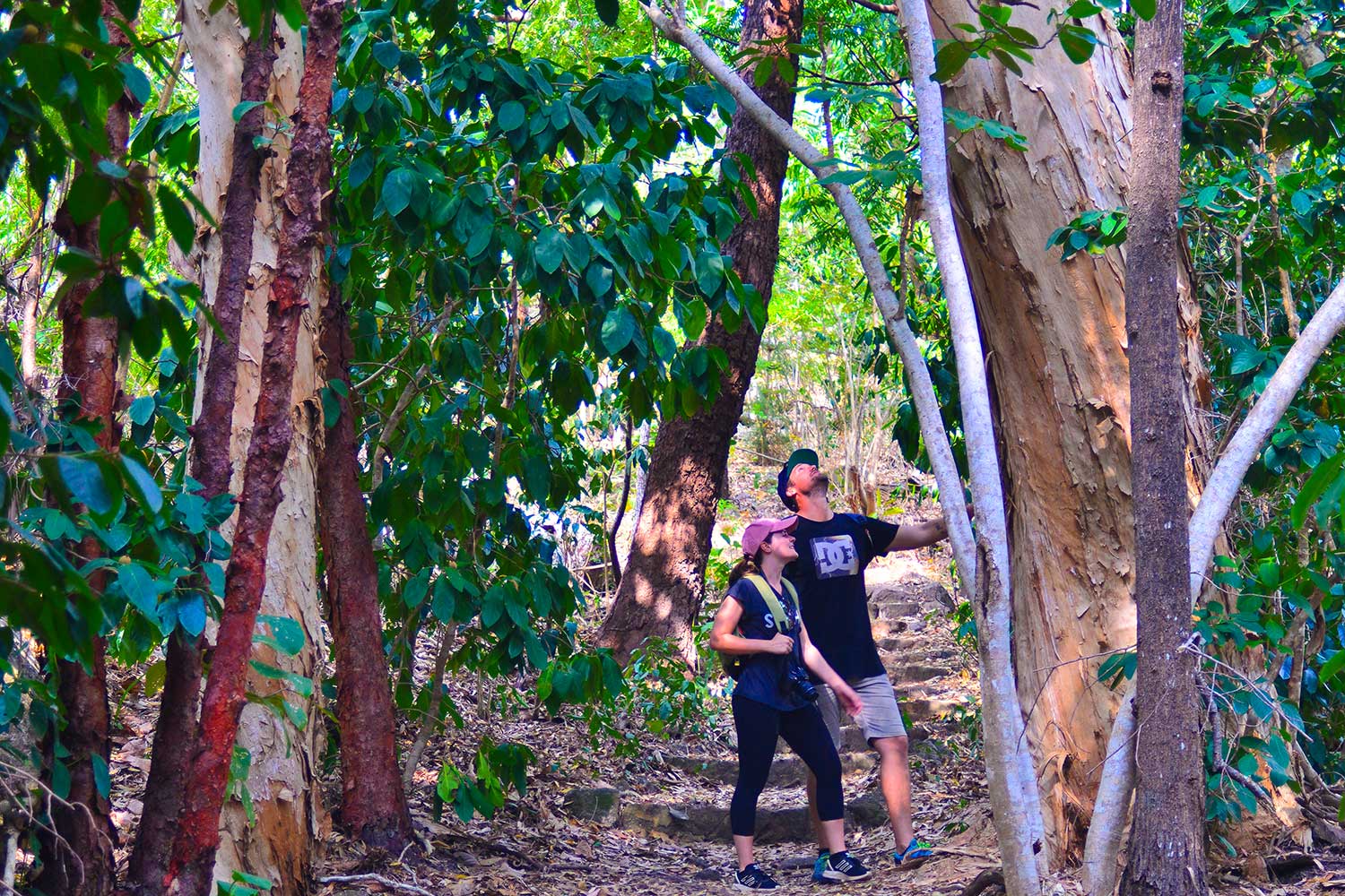 Drive North Queensland | Epic Cape York