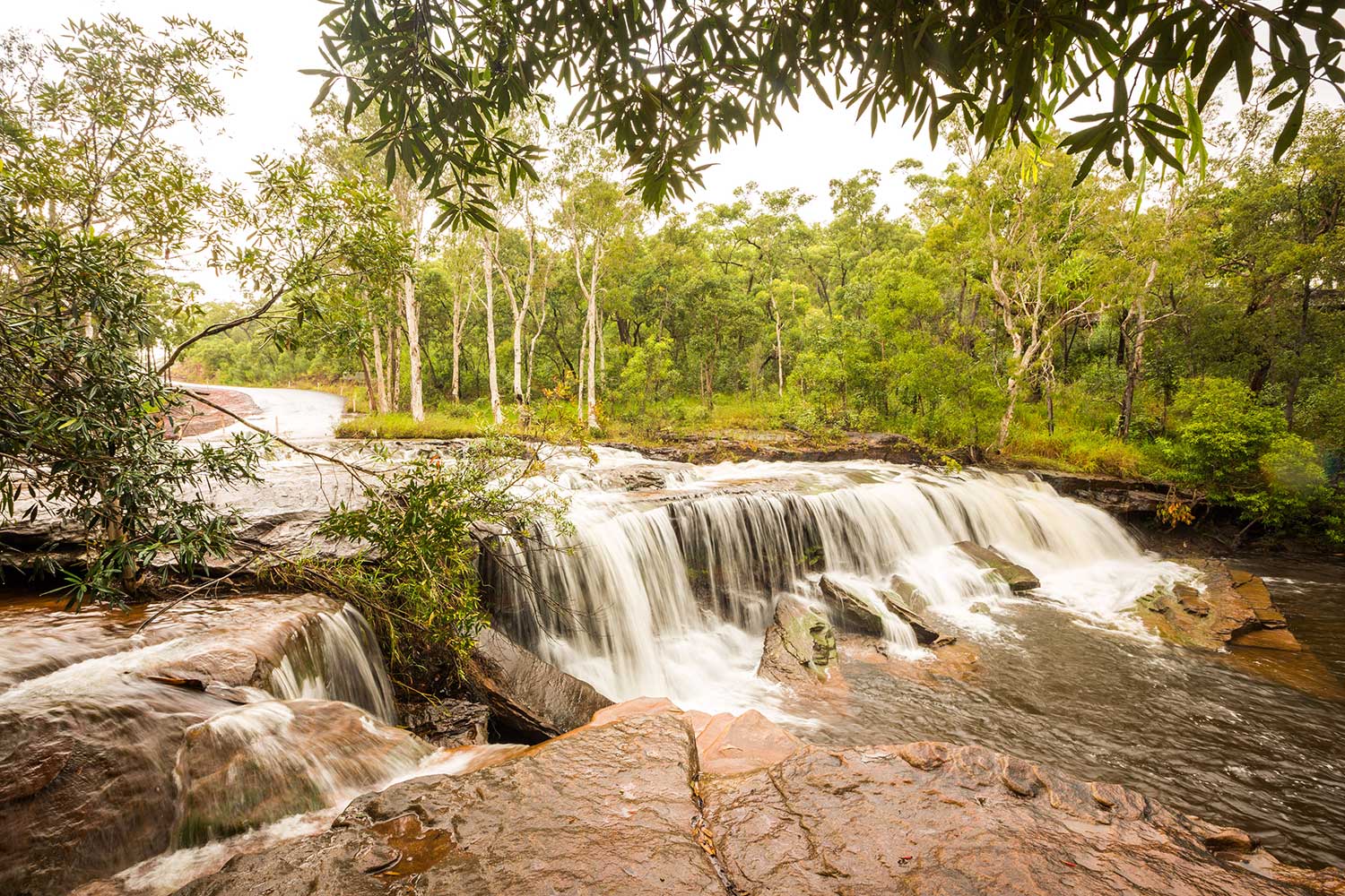 Drive North Queensland | Epic Cape York