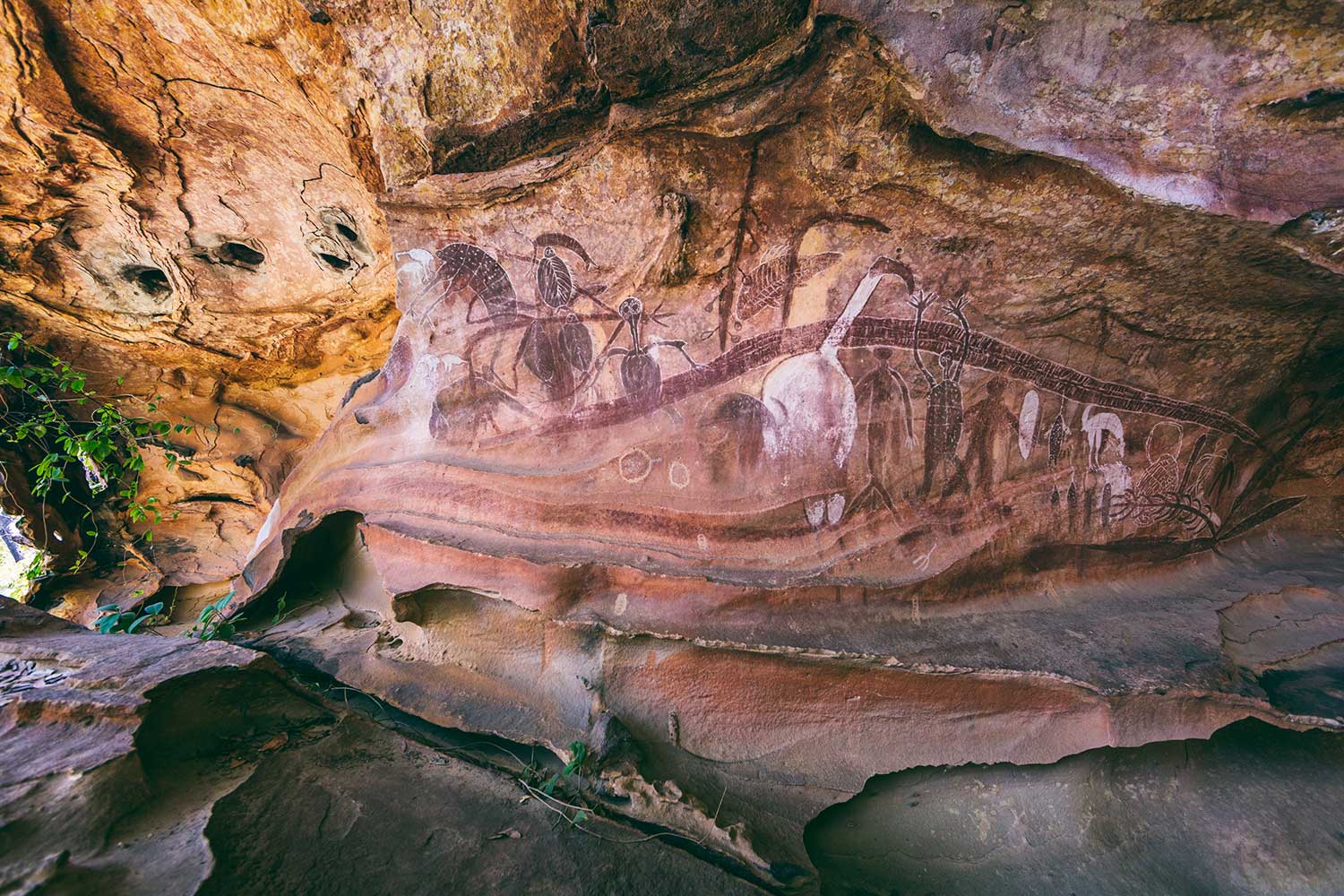 Drive North Queensland | Epic Cape York